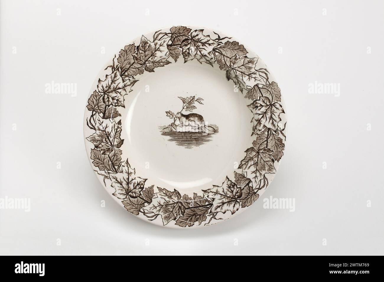 Soup plate - Maple Thomas Furnival & Sons Thomas Furnival & Sons Stock ...