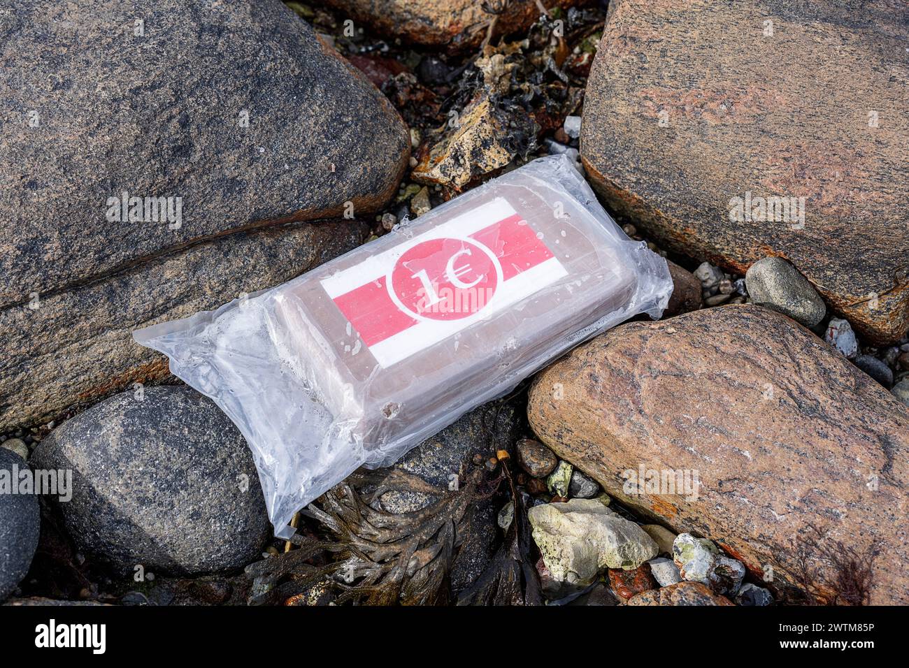 Sejeroe Bay, Denmark, March 18, 2024. Discovery of three brownish ...