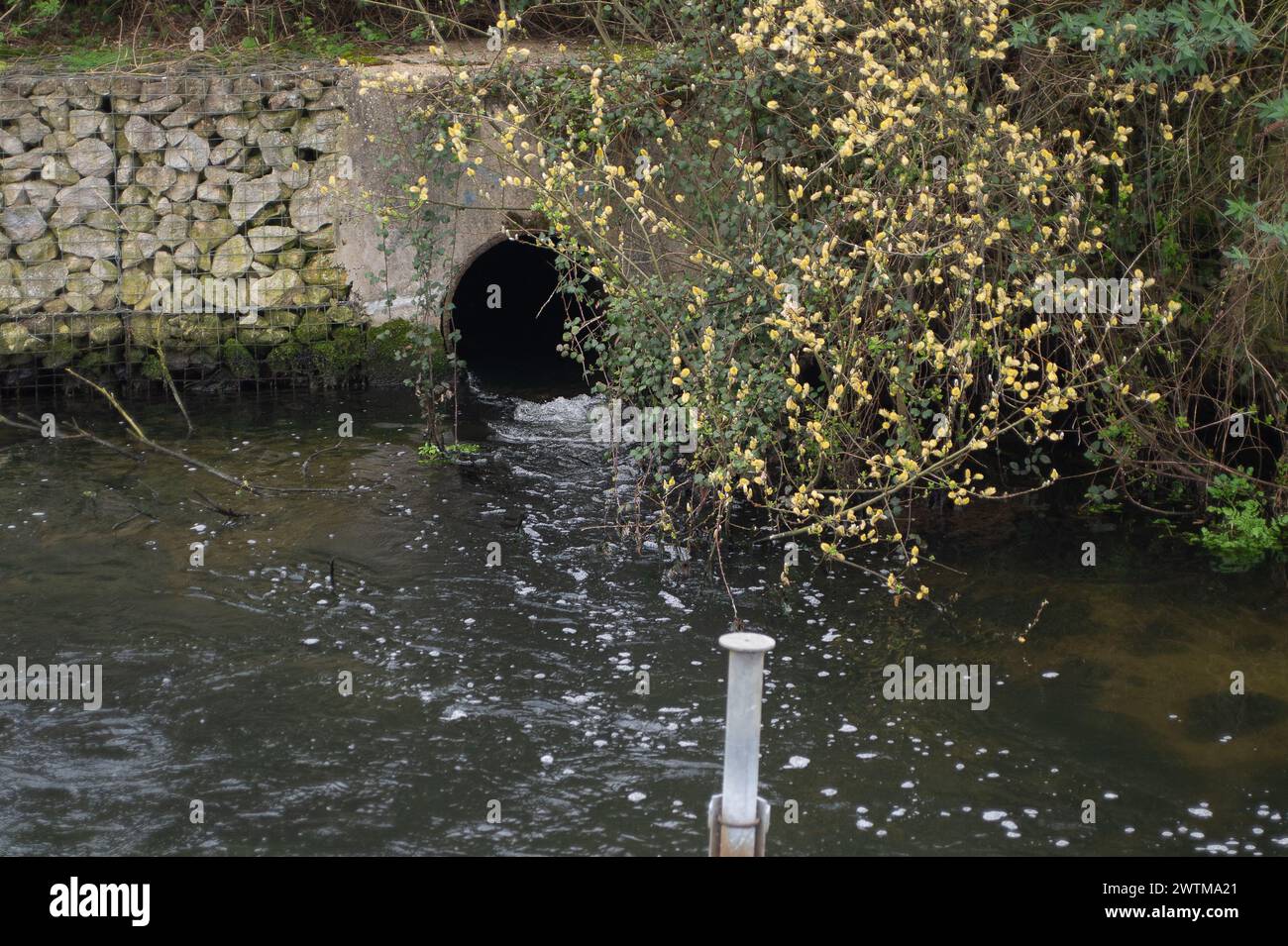 Slough, Berkshire, UK. 18th March, 2024. Thames Water are discharging ...