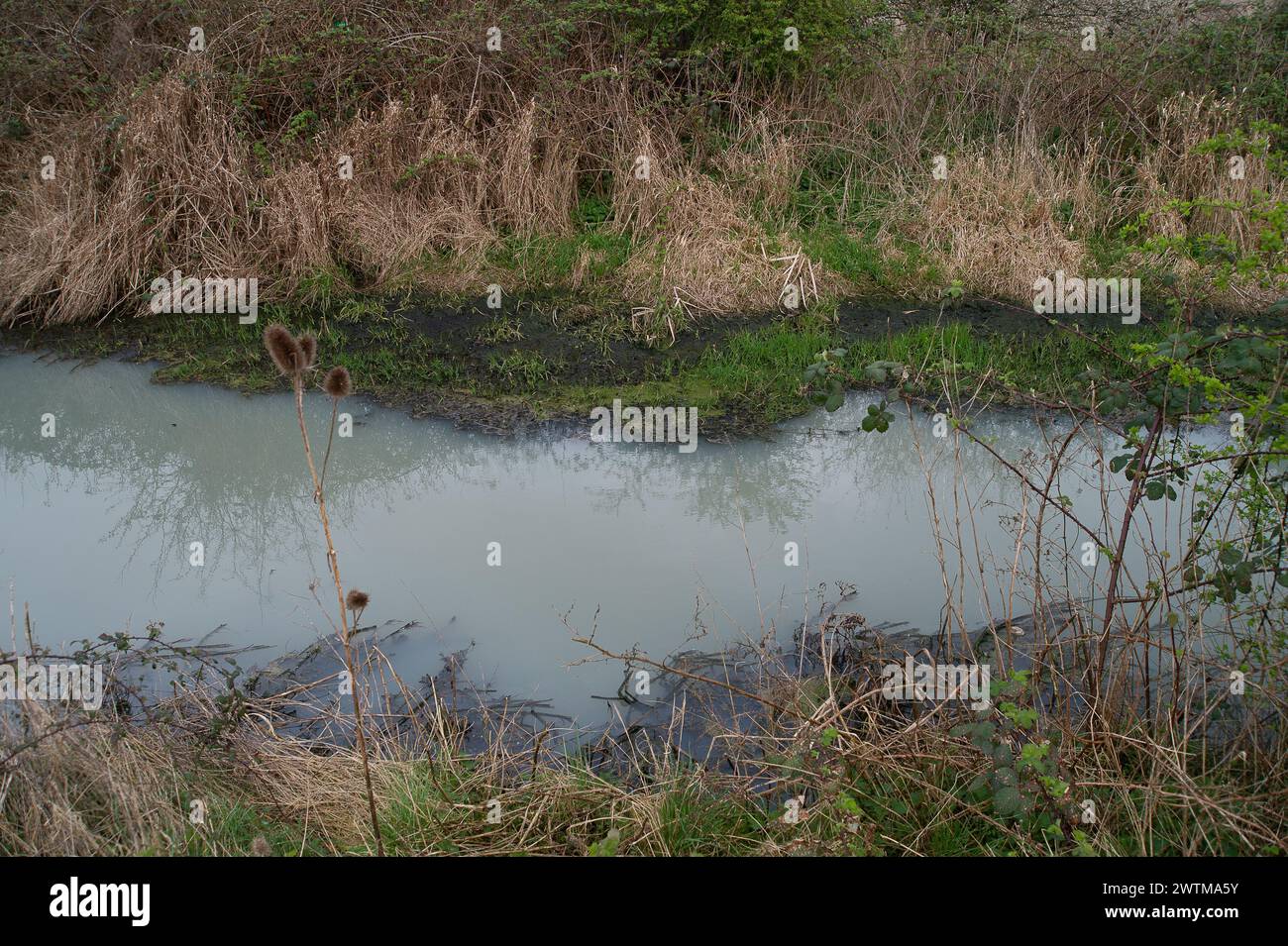 Slough, Berkshire, UK. 18th March, 2024. Thames Water are discharging ...