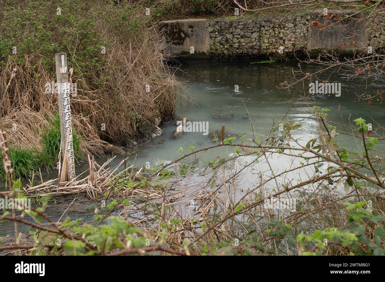 Slough, Berkshire, UK. 18th March, 2024. Thames Water are discharging ...