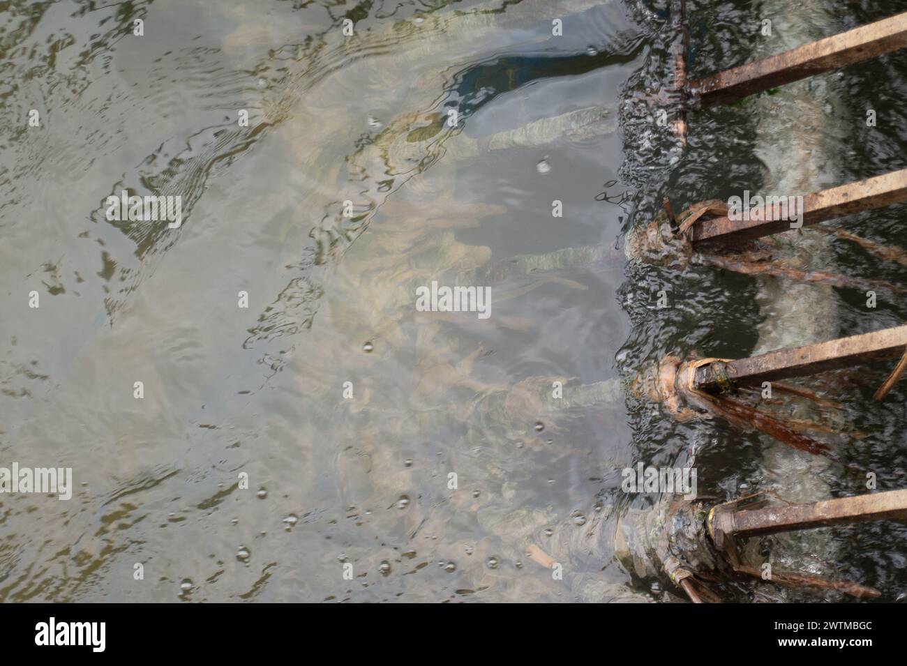 Slough, Berkshire, UK. 18th March, 2024. Thames Water are discharging ...