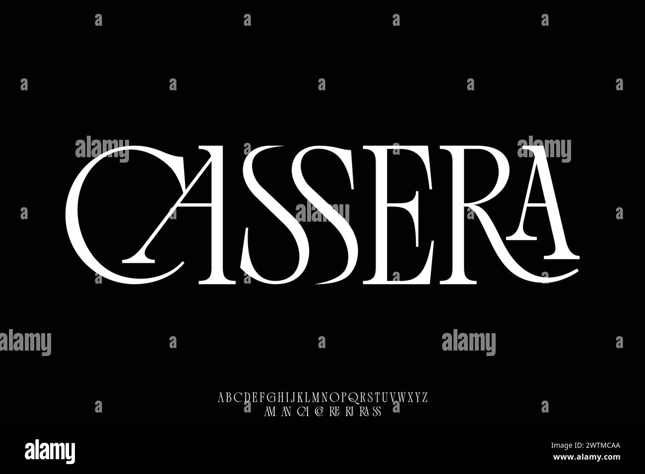 Elegant serif alphabet display font vector with ligature style. Creative serif typeface Stock ...