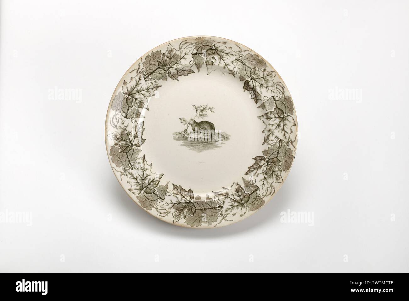 Dinner plate - Thomas Furnival & Sons Thomas Furnival & Sons Stock ...