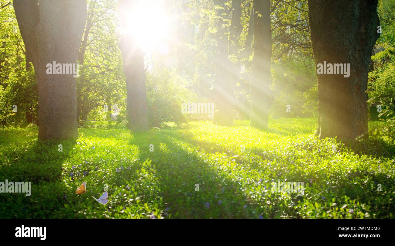 Nature landscape beautiful sunny hi-res stock photography and images ...