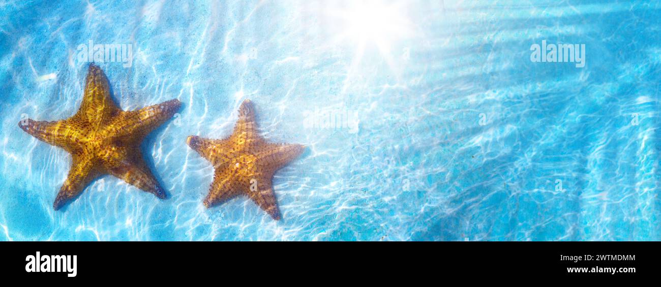 beautiful summer tropical vacation sunny sandy beach background Stock ...