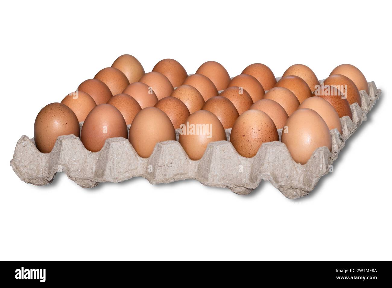 Chicken eggs in a cardboard package. 30 raw eggs in paper egg panel ...