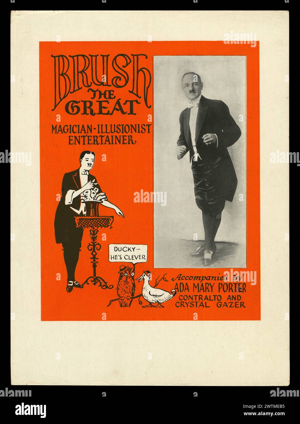 Brush the great magic hi-res stock photography and images - Alamy
