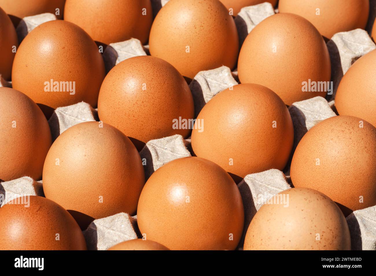 Chicken eggs in a cardboard package. raw eggs in a paper egg panel ...