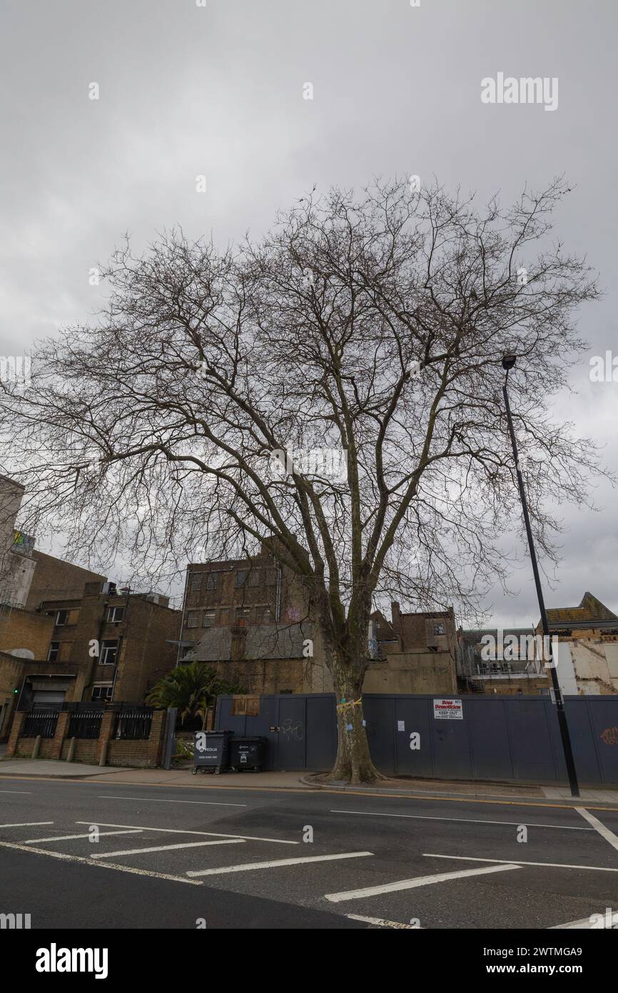 Southend on Sea, UK. 18th Mar, 2024. Residents have formed a campaign ...