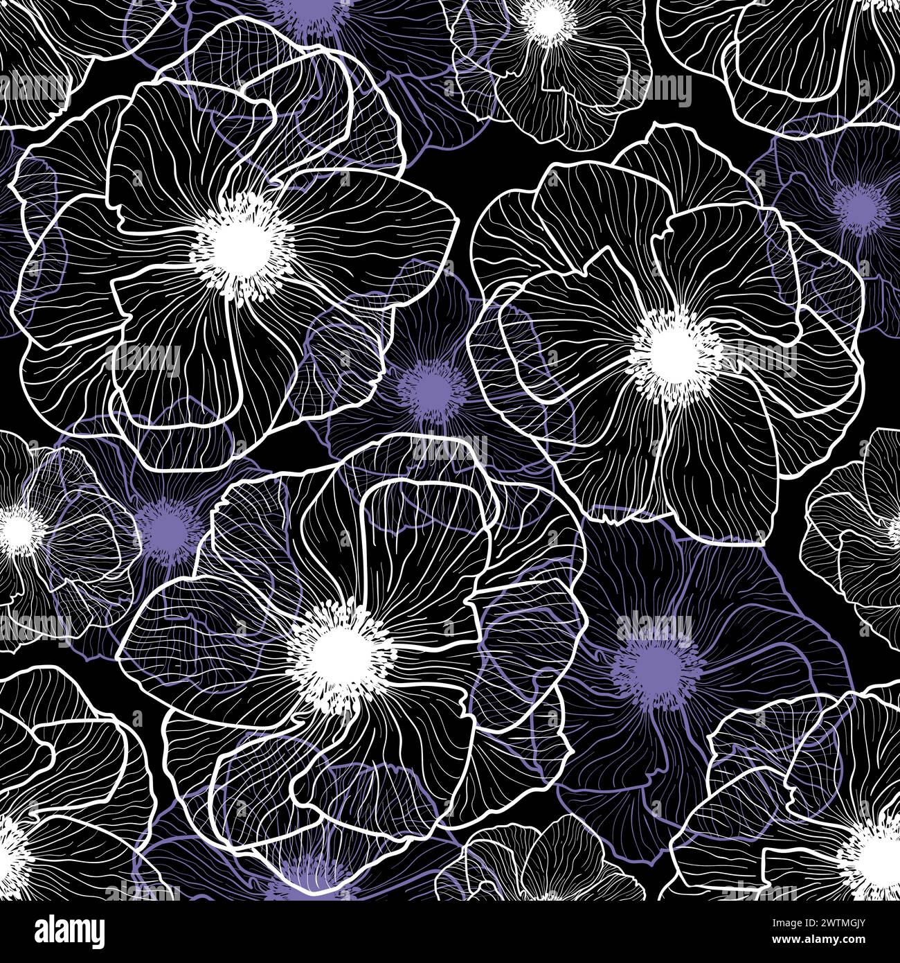 Pattern Seamless Vector Anemones Graphic White Flowers Pattern Vector ...