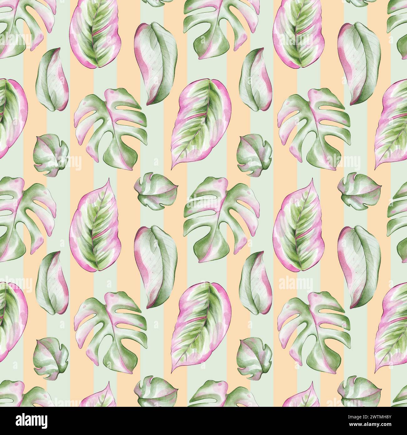 Hand drawn monstera plant hi-res stock photography and images - Alamy