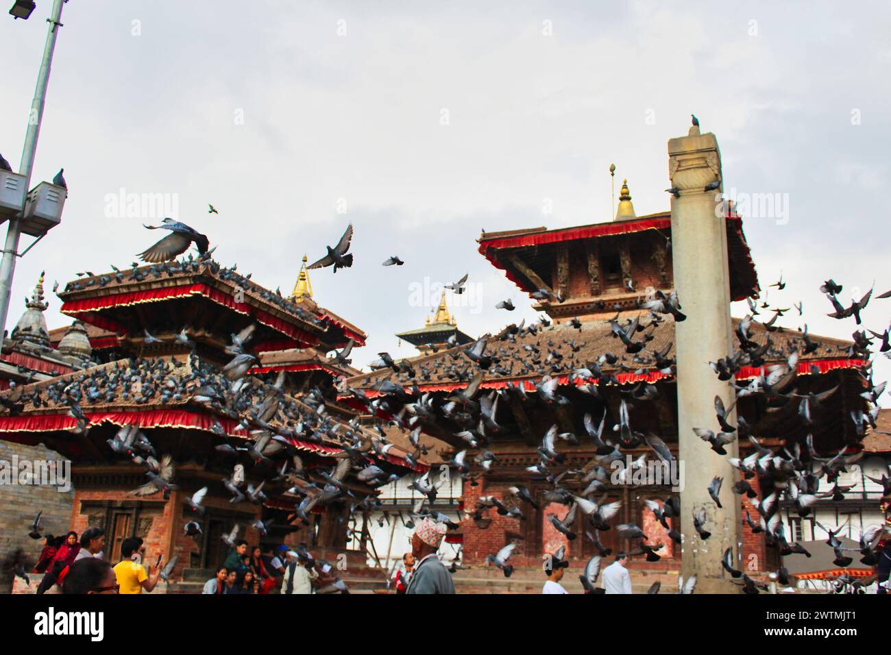 Kathmandu,Nepal - May 13 2017 - Pigeons take flight at the busy Durbar ...