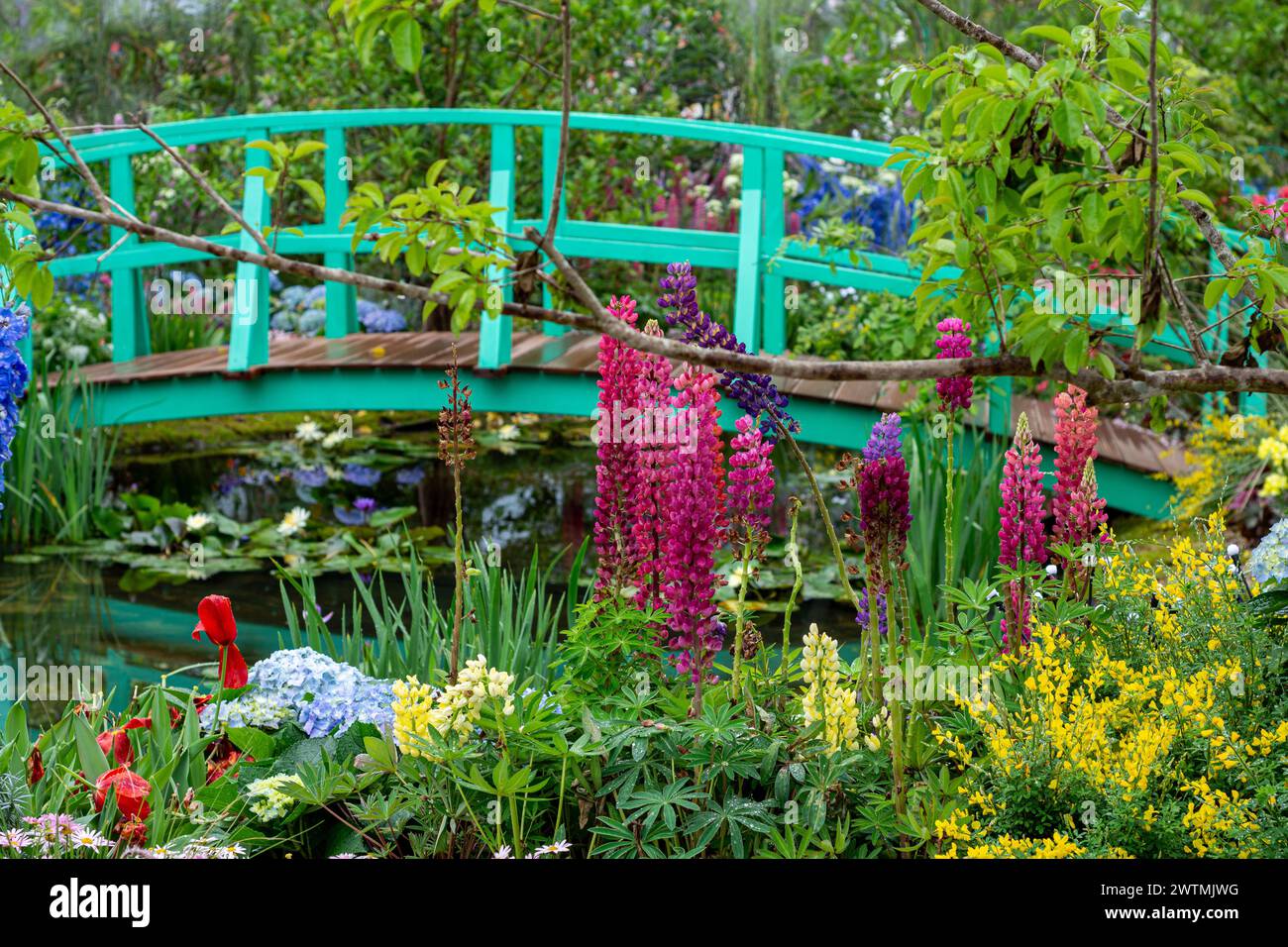 Flowers and plants for gardens and displays Stock Photo - Alamy