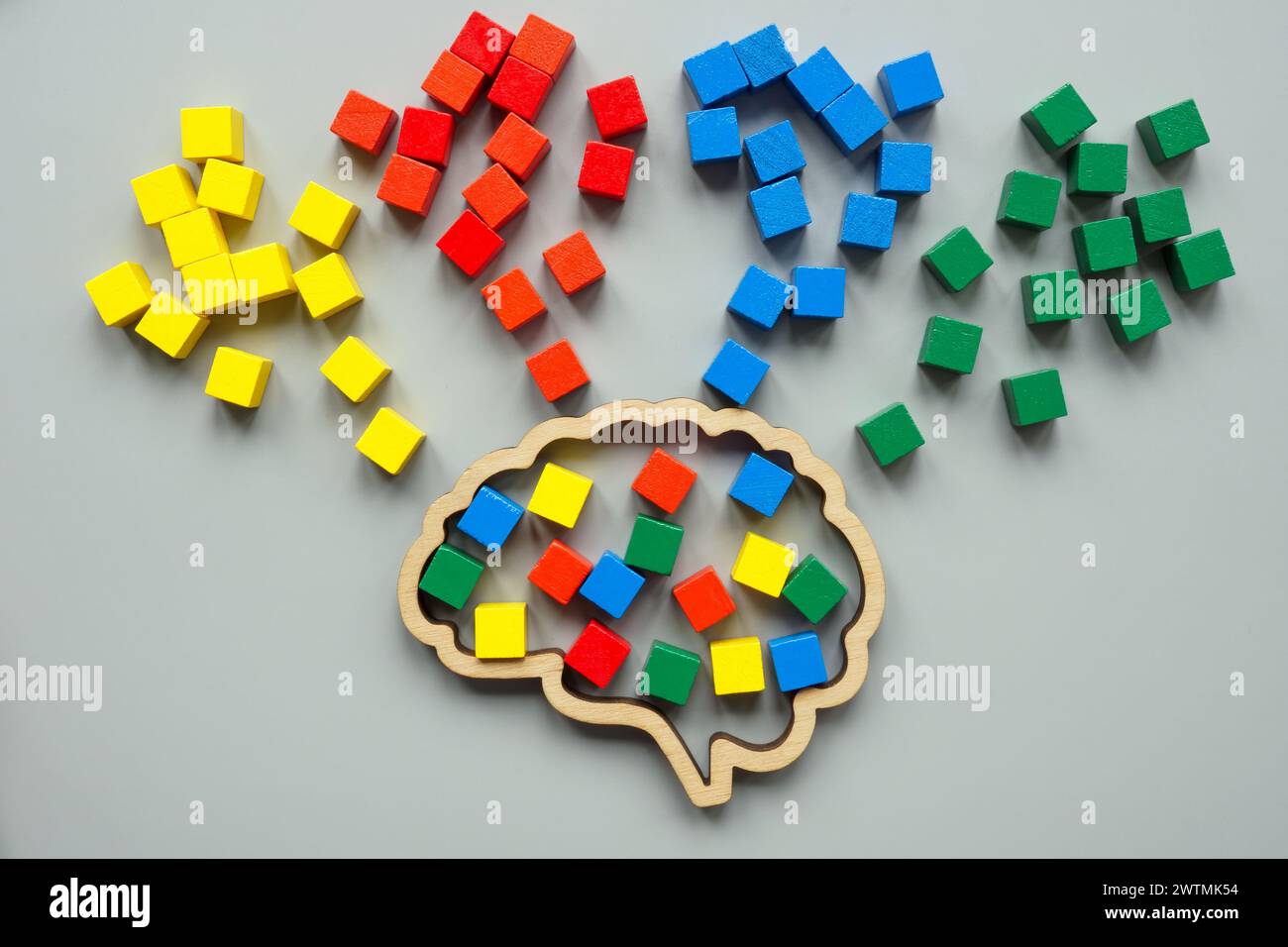 Brain and flows of colored cubes as a concept for learning and ...