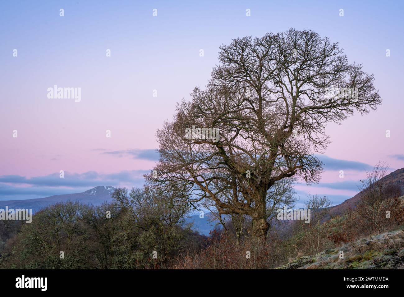 Aberfoyle, a Scottish Golf Course Stock Photo - Alamy