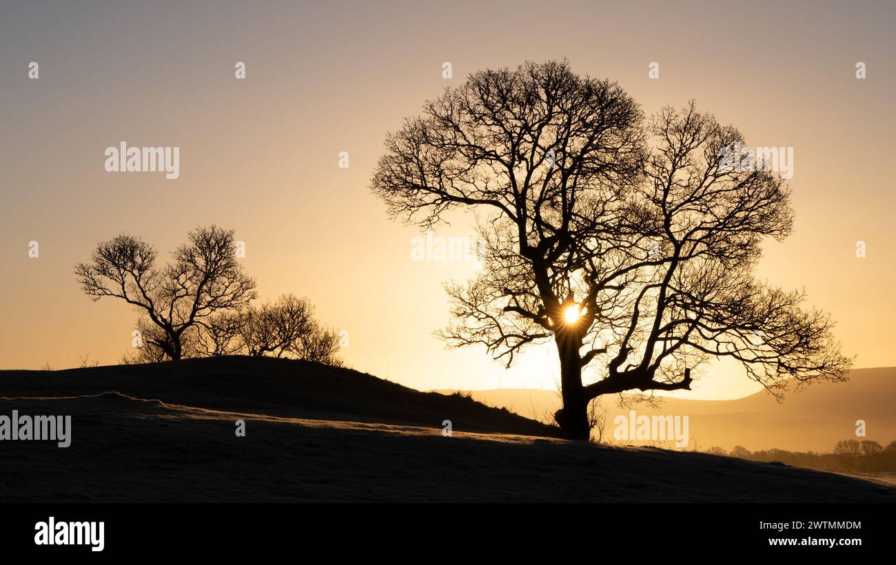 Aberfoyle, a Scottish Golf Course Stock Photo - Alamy
