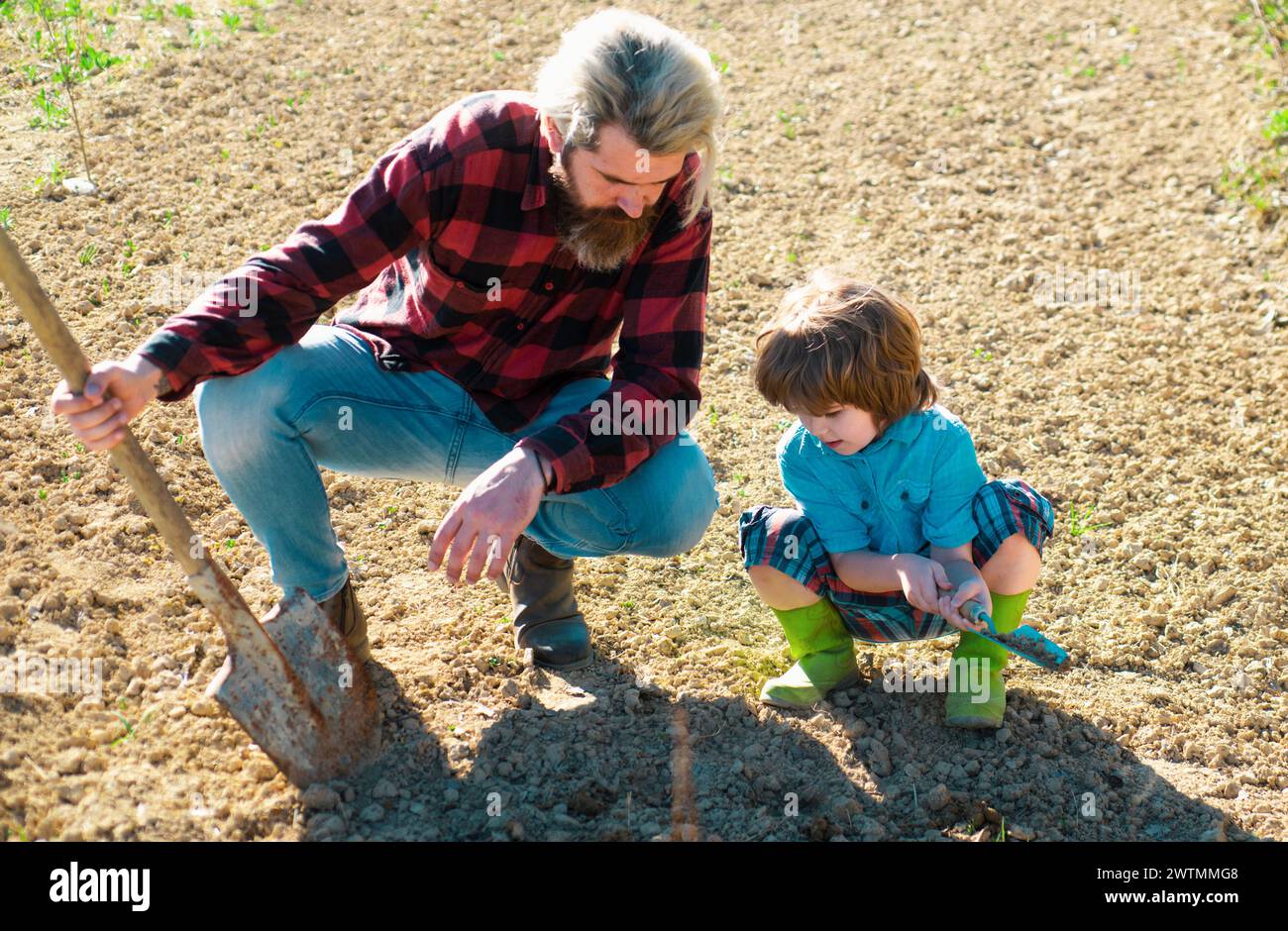 Family planting a tree. Son helping father. Dad and kid gardening in ...