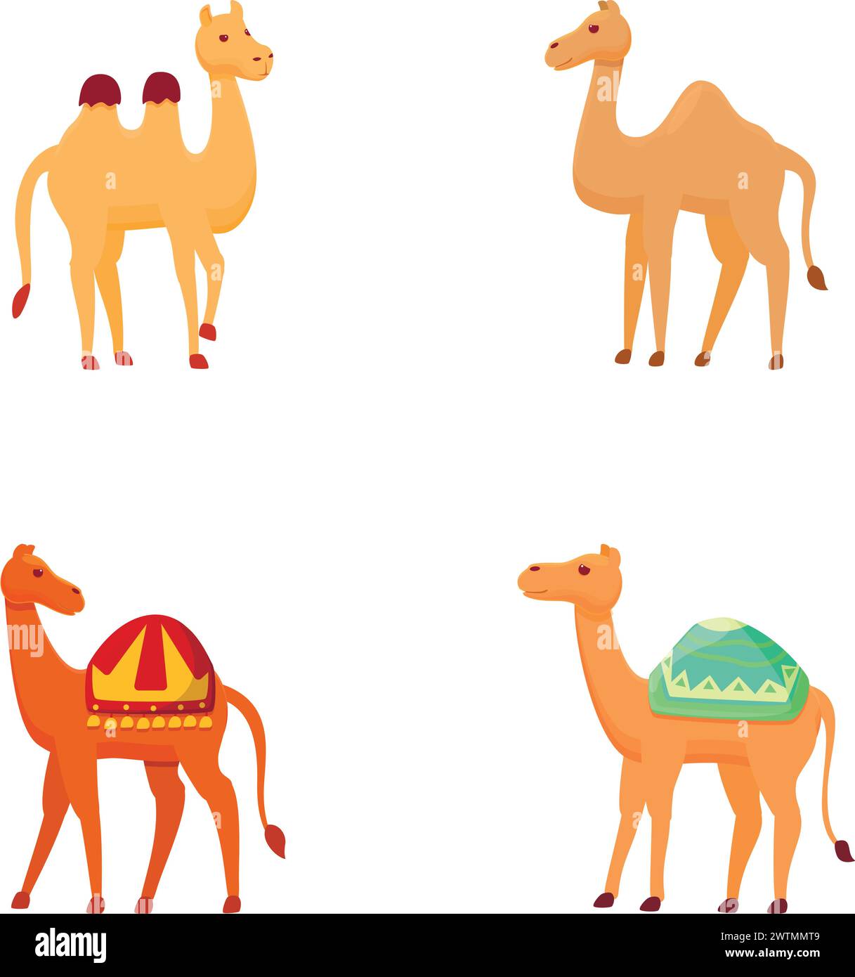 Cartoon camel icons set cartoon vector. Different type of camel with ...