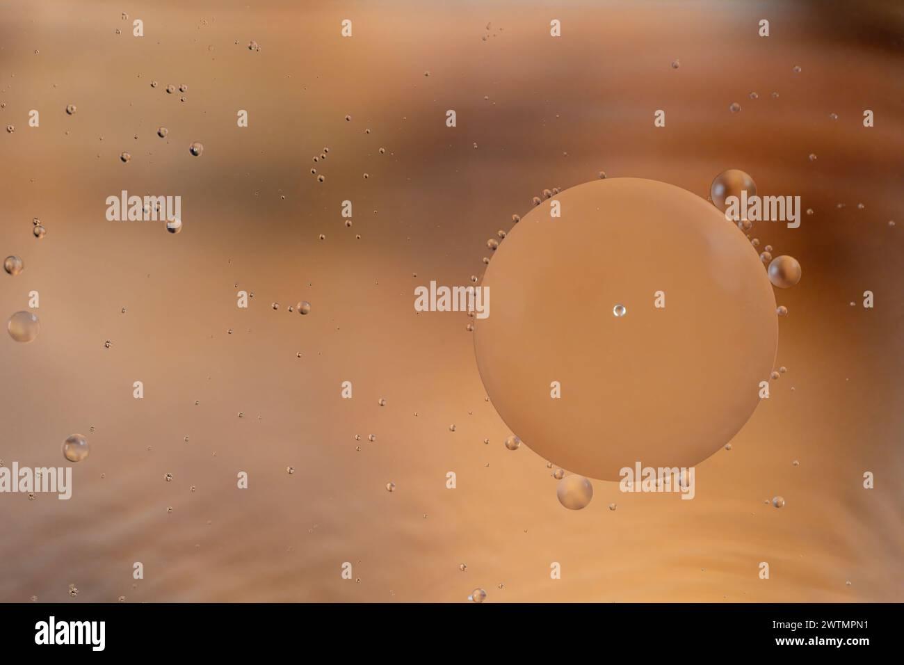 Colorful abstract macro background with oil drops in water Stock Photo ...