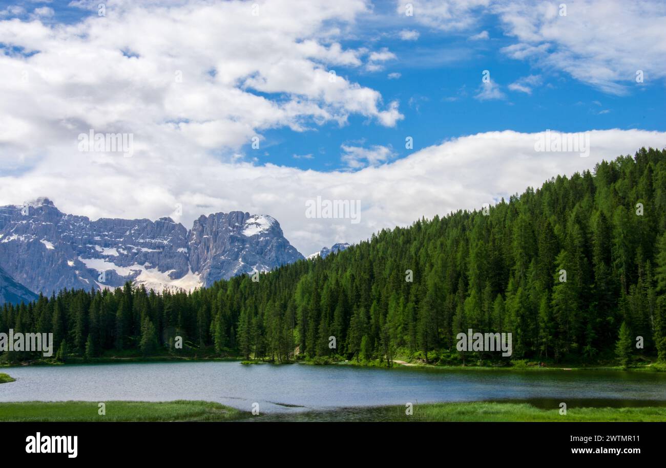 the forests and mountains in Misurina a beautiful spring day in the ...