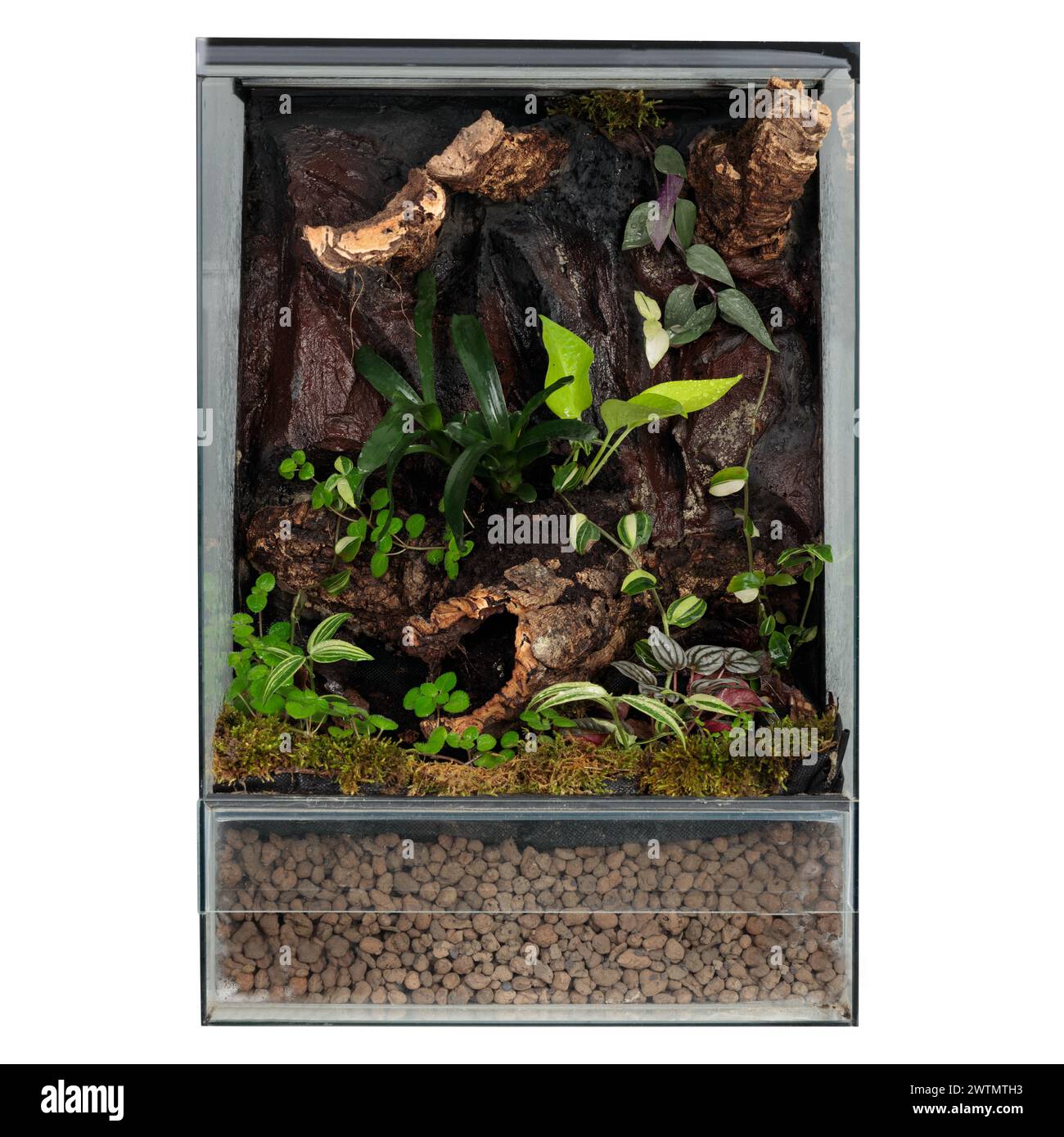Self contained ecosystem hi-res stock photography and images - Alamy