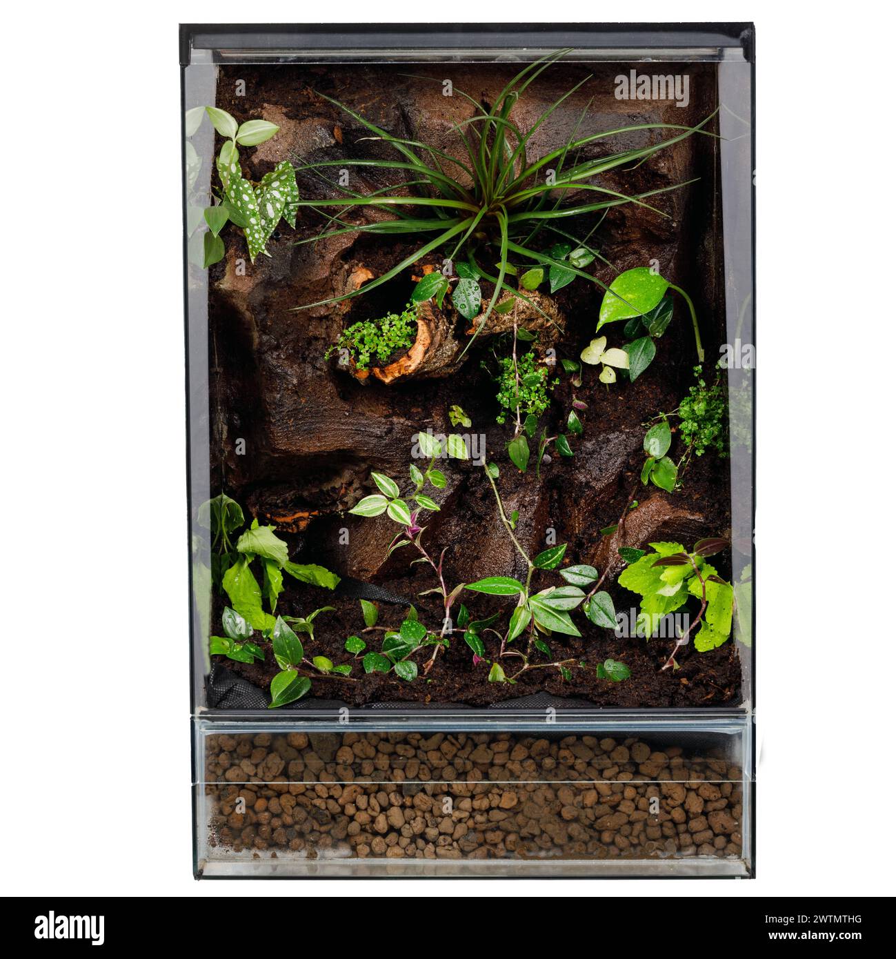 Peaceful natural landscape lush green Cut Out Stock Images & Pictures ...