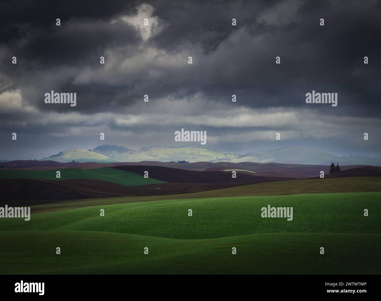 A storm rolling across the Palouse Fields Stock Photo - Alamy