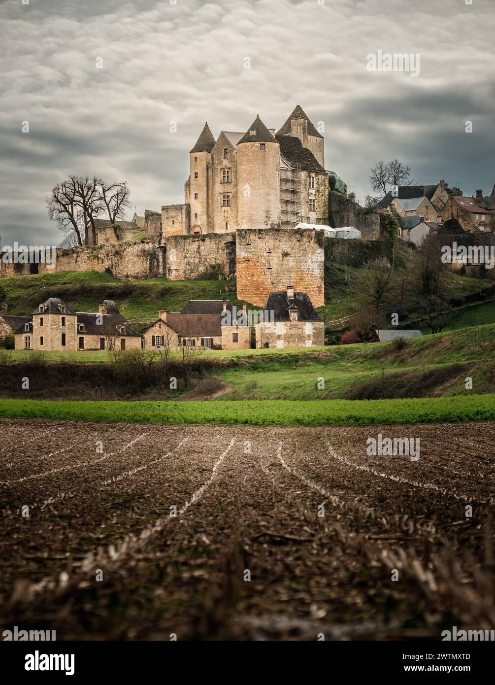 Salignac-Eyvigues, Nouvelle-Aquitaine, France - 17th March 2024 ...