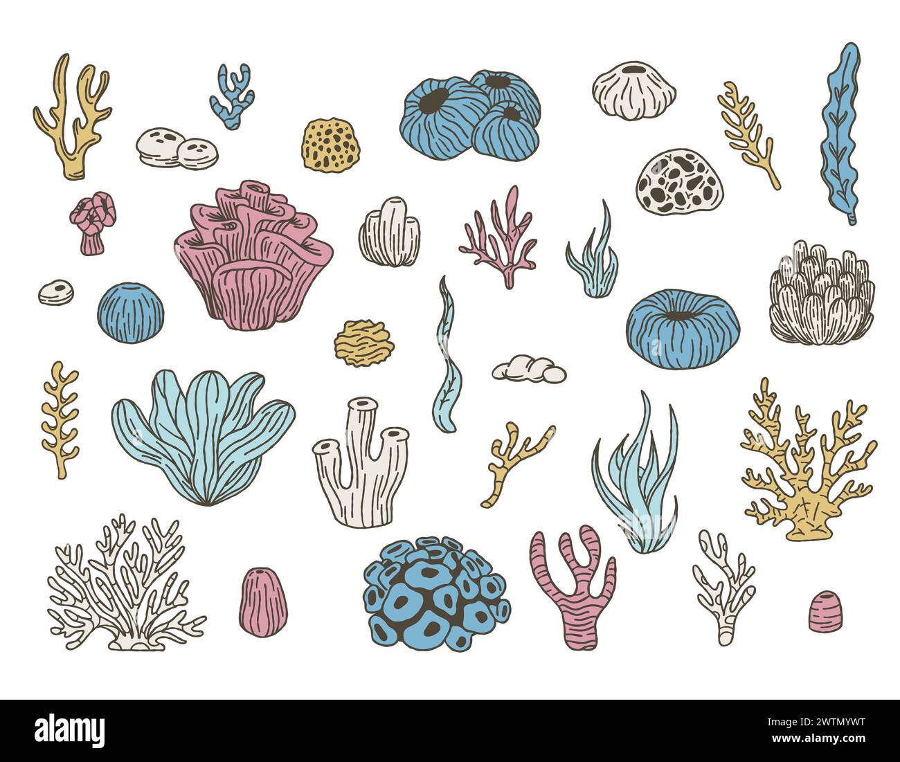Coral set. Ocean plants, underwater flora, seaweed. vector set Stock ...