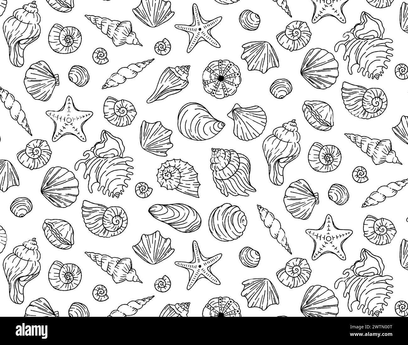 Sea shells black and white seamless vector background. Vector graphics ...