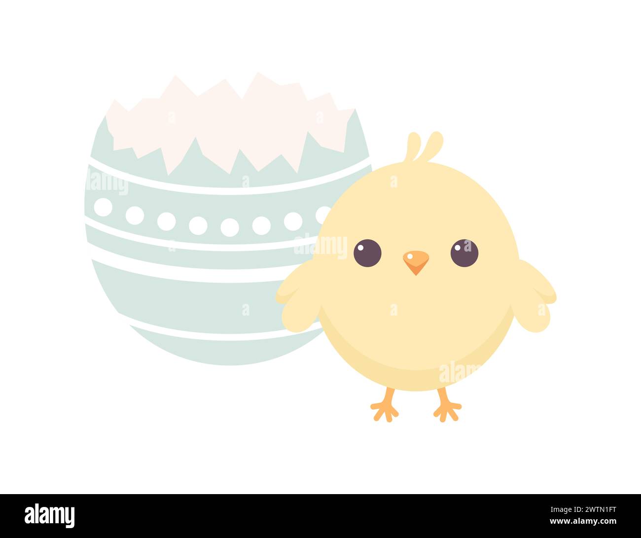 Cute chick standing near a broken Easter egg, isolated on white ...