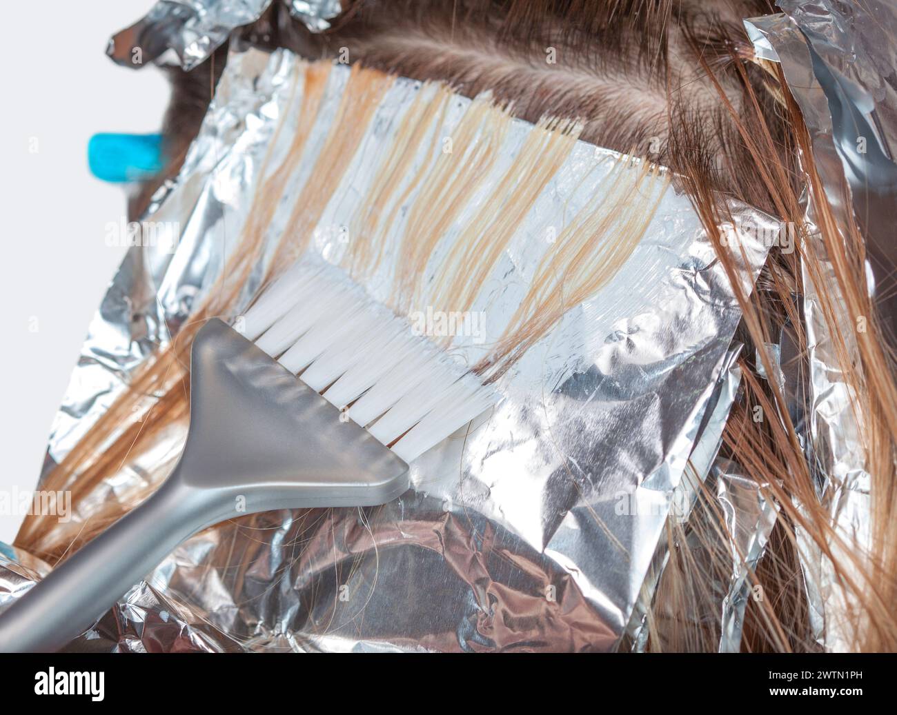 The hairdresser paints the woman's hair in a white color, apply the ...