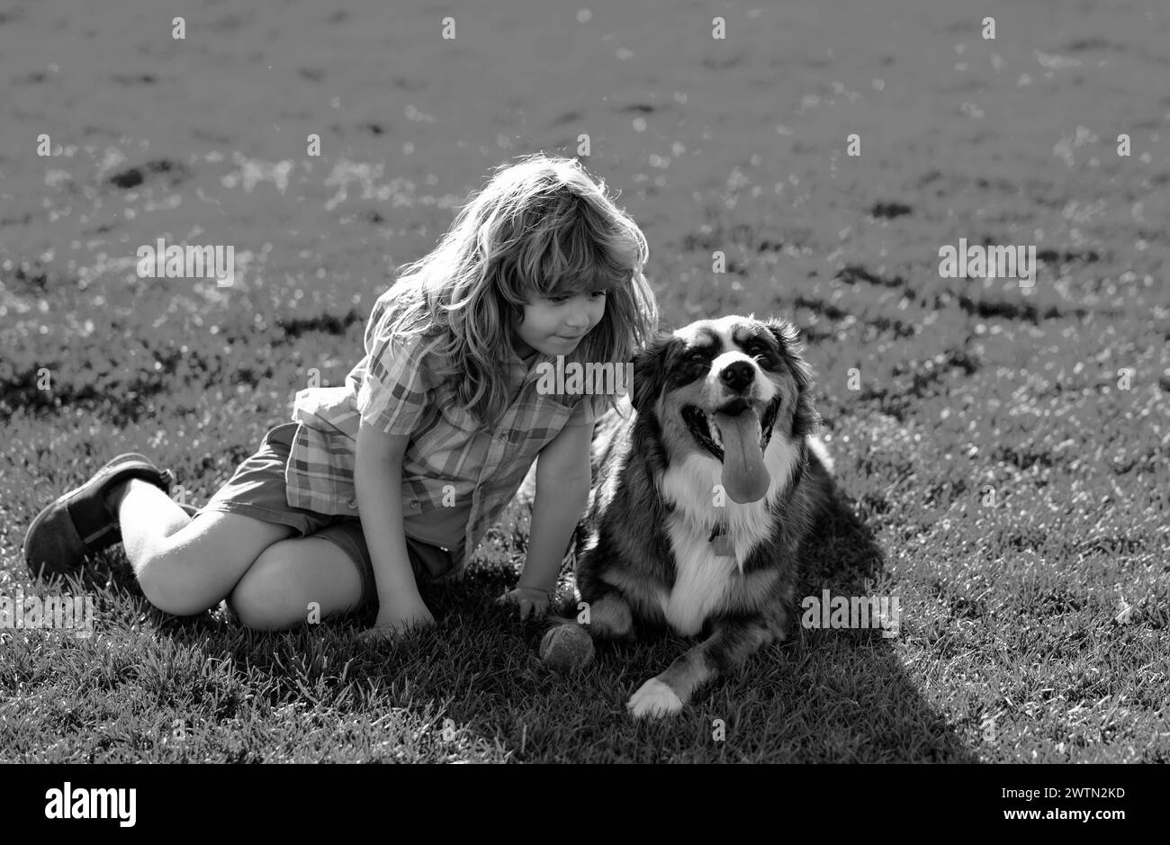 Happy child playing with dog in green grass field. Child with pet puppy ...
