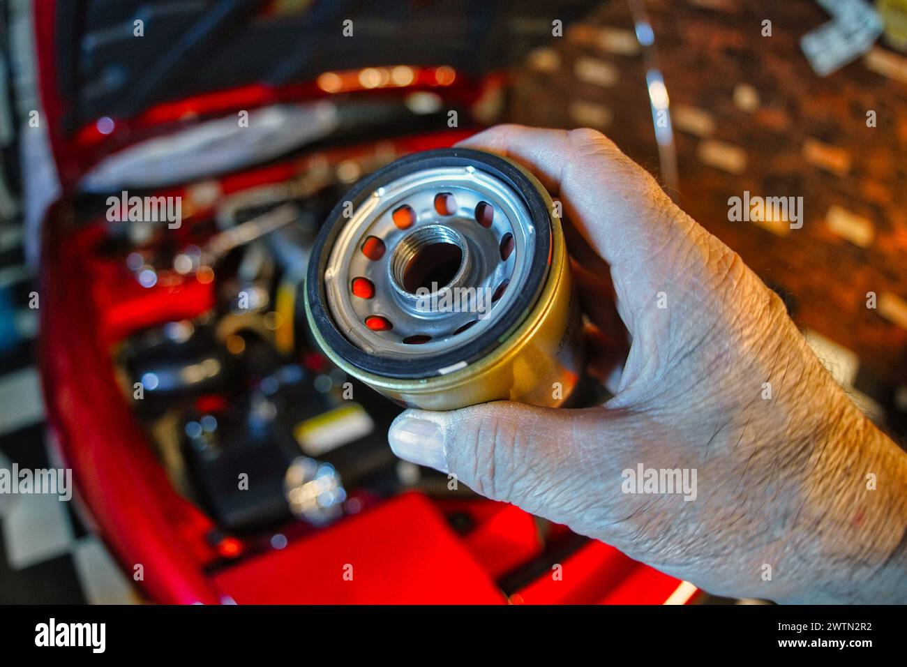 Hand holding a new engine oil filter Stock Photo - Alamy