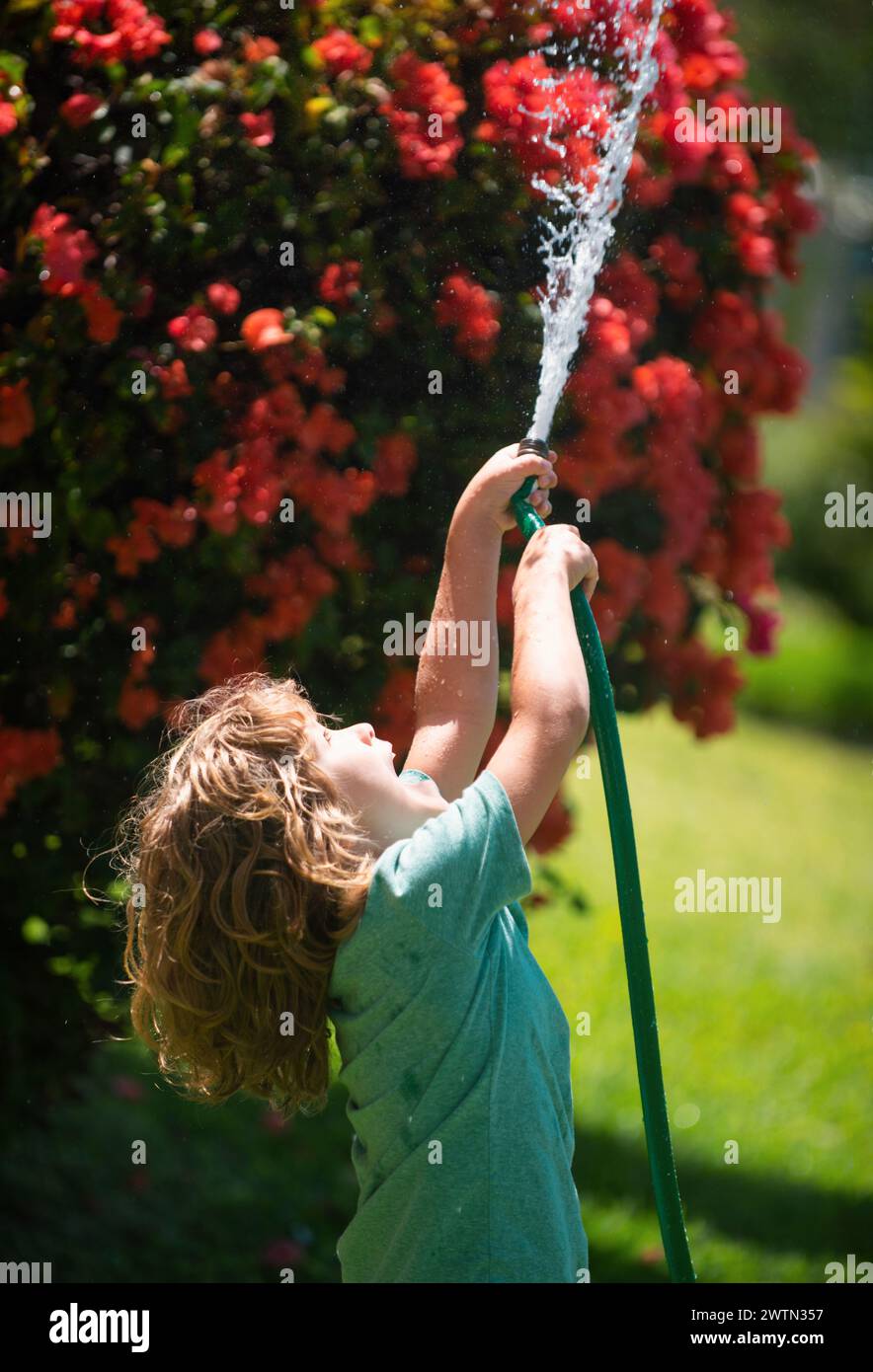 Child boy watering the plants, from hose spray with water hose in the ...