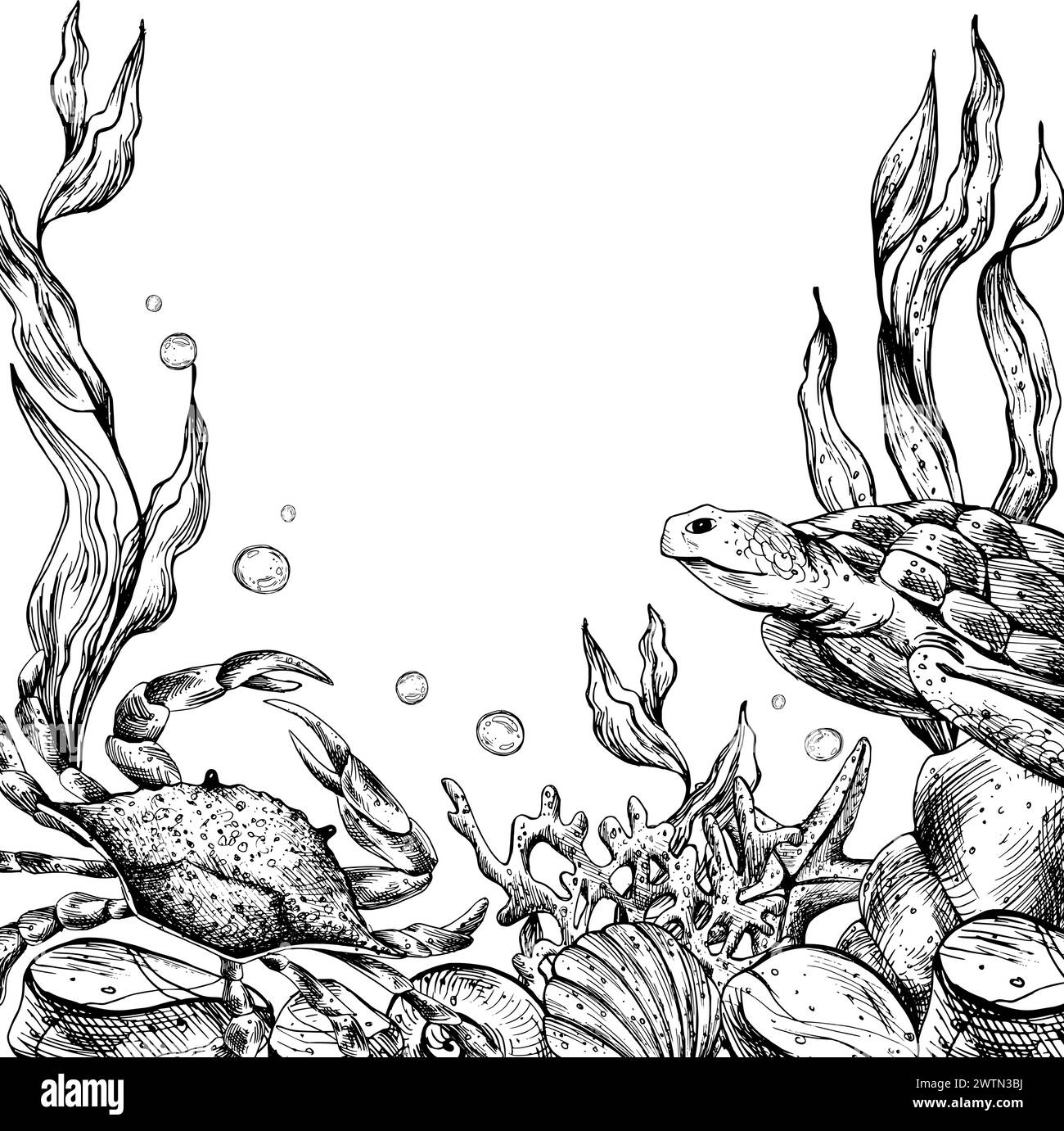 Underwater world clipart with sea animals whale, turtle, octopus ...
