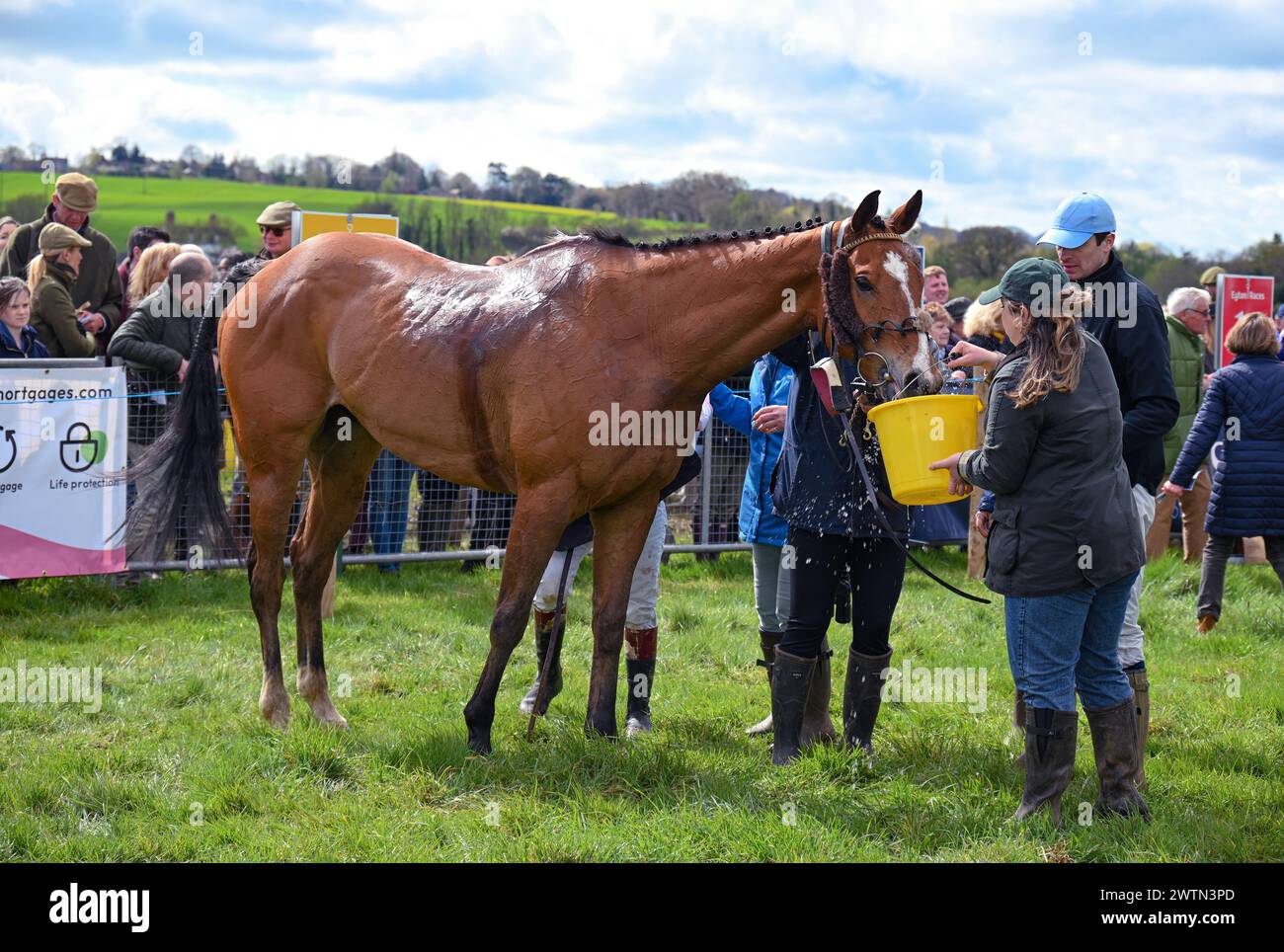 The beautiful sight of horse racing hi-res stock photography and images ...