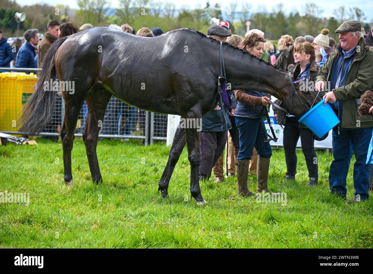 Eyton races hi-res stock photography and images - Alamy