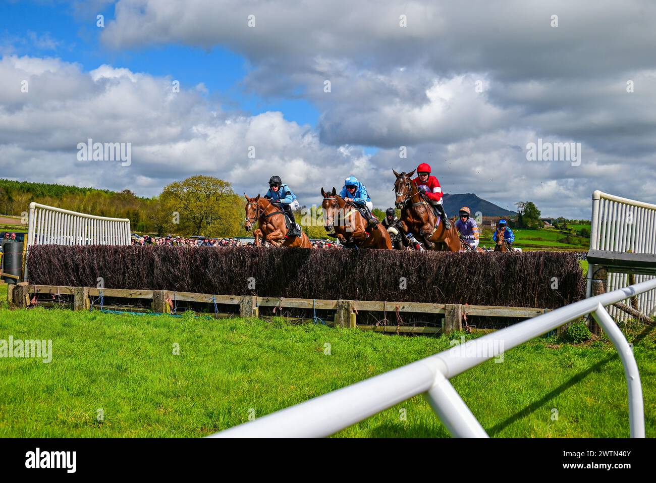 The beautiful sight of horse racing hi-res stock photography and images ...