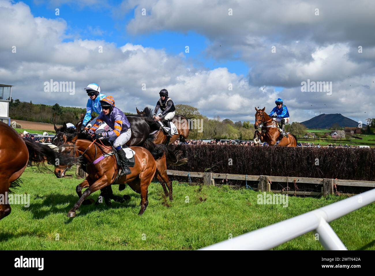 The beautiful sight of horse racing hi-res stock photography and images ...