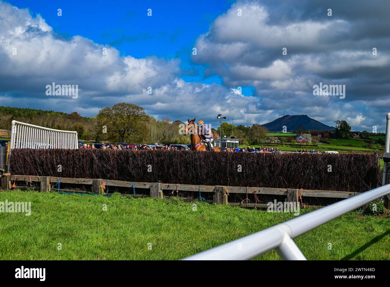 The beautiful sight of horse racing hi-res stock photography and images ...