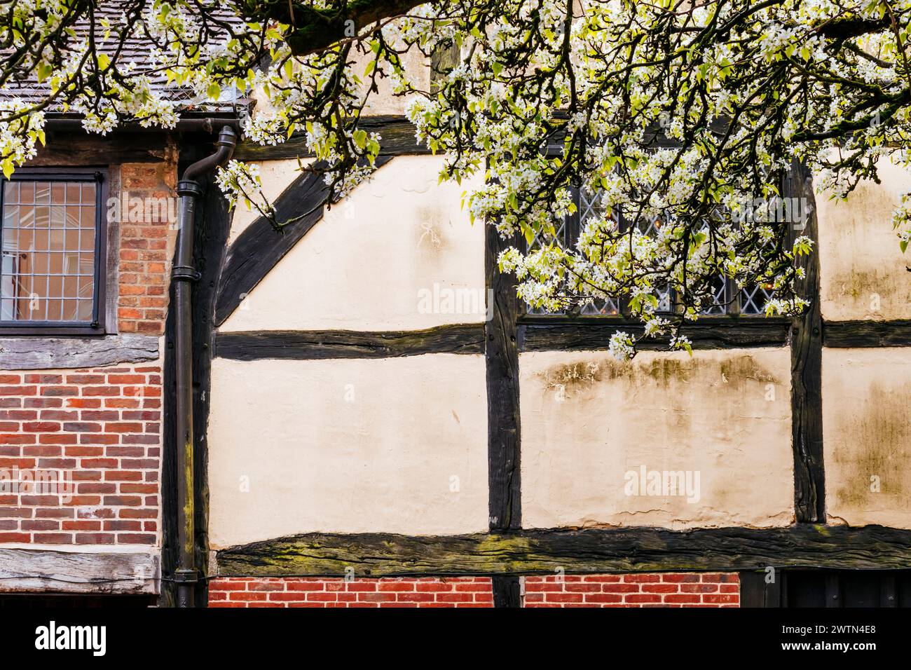 The ‘rear’ of ancient God Begot House. Winchester, Hampshire, England ...