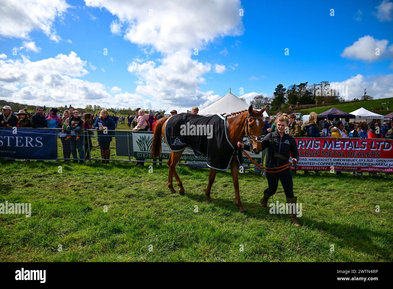 At the presentation of the racing horses hi-res stock photography and ...