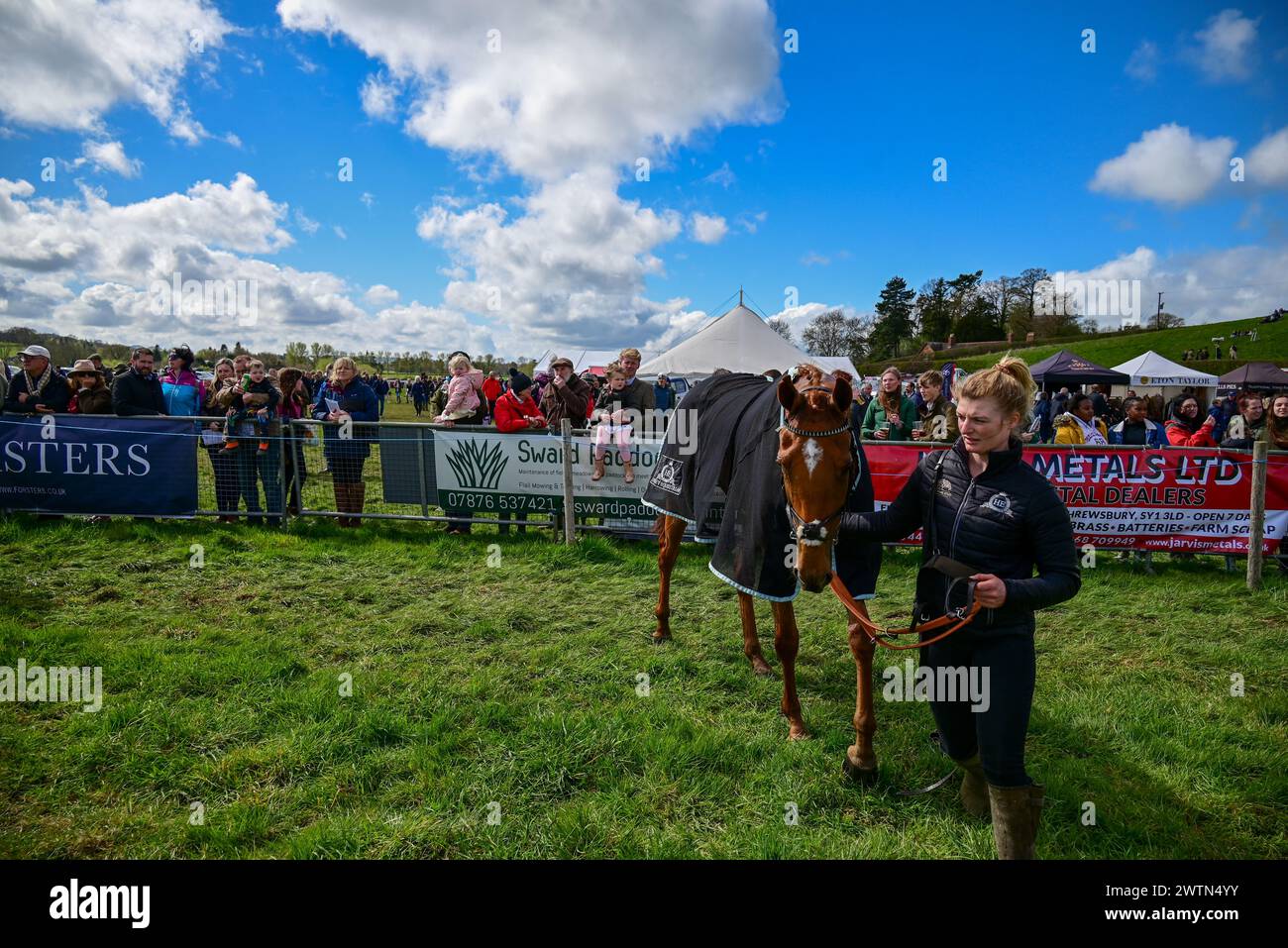 Eyton Races - Point 2 Point Horse Racing Stock Photo - Alamy