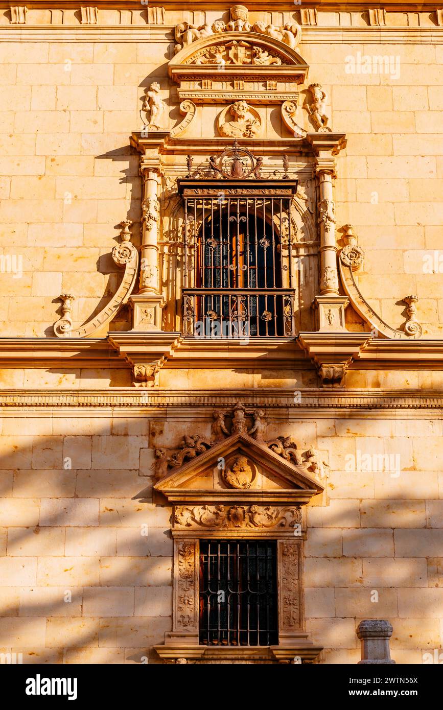 Window and allegorical figures. Detail plateresque facade. Colegio ...