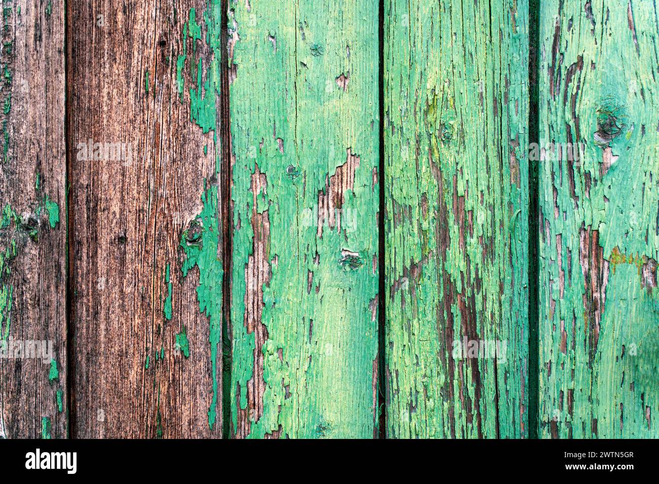 Greenish wood texture hi-res stock photography and images - Alamy