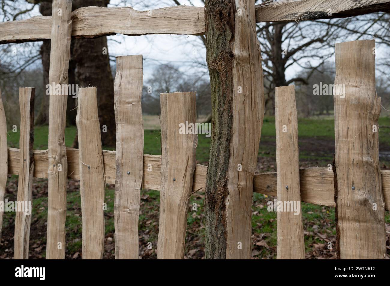 Split oak fencing, Charlecote, Warwickshire, England, UK Stock Photo ...