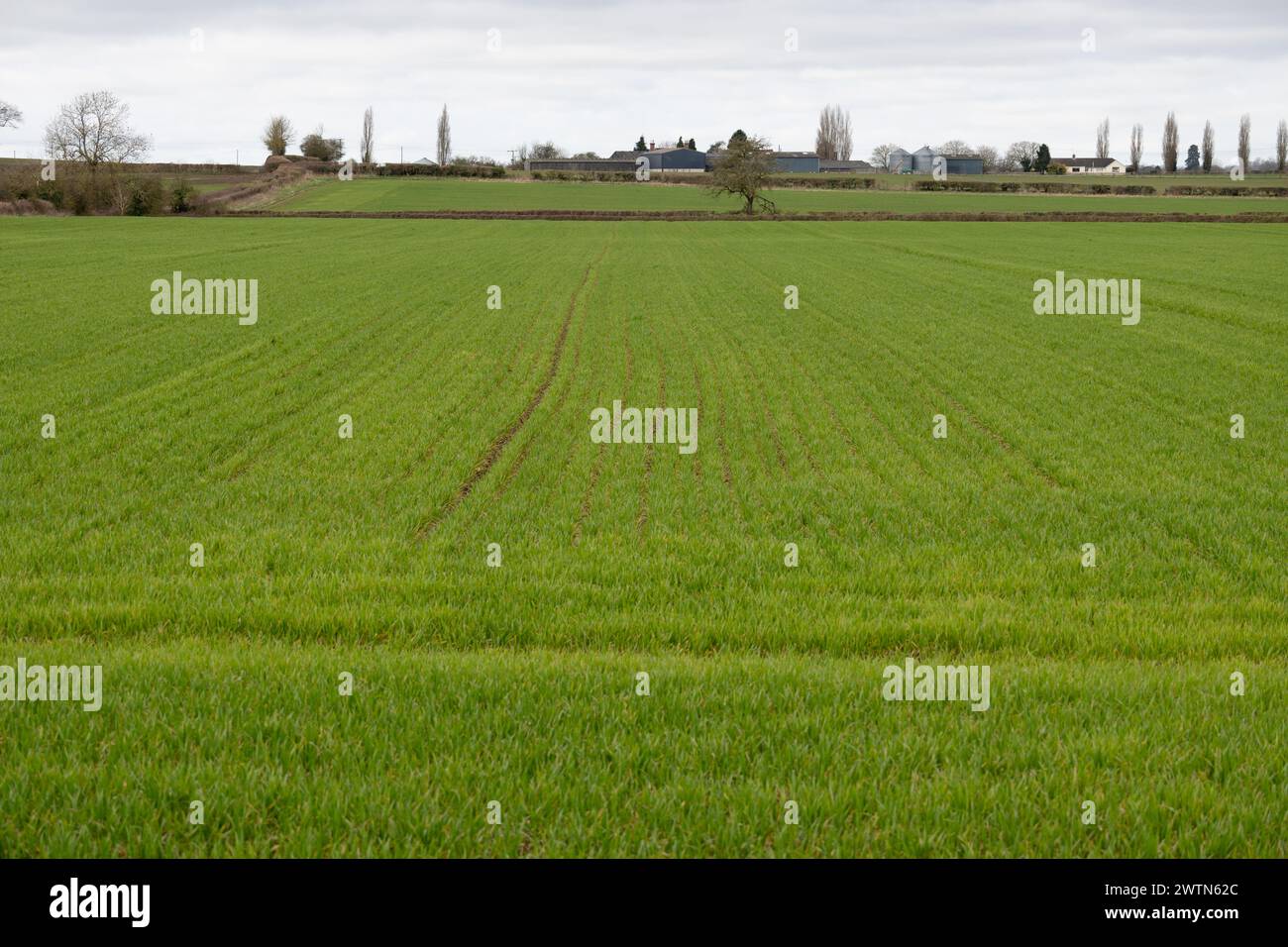 Farmland in winter, Wellesbourne, Warwickshire, England, UK Stock Photo ...