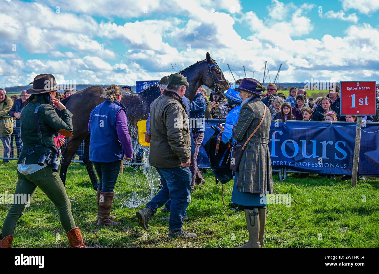 Cheltenham races horse hi-res stock photography and images - Alamy